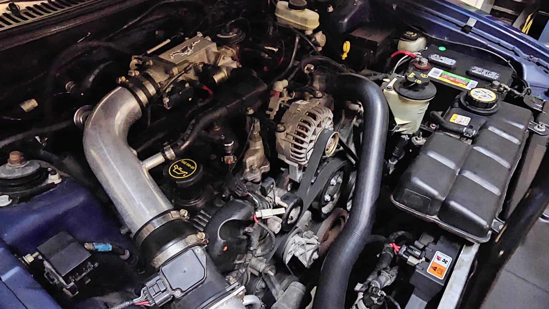 2004 Ford Mustang GT 40th Anniversary - Savin Ol' Steel