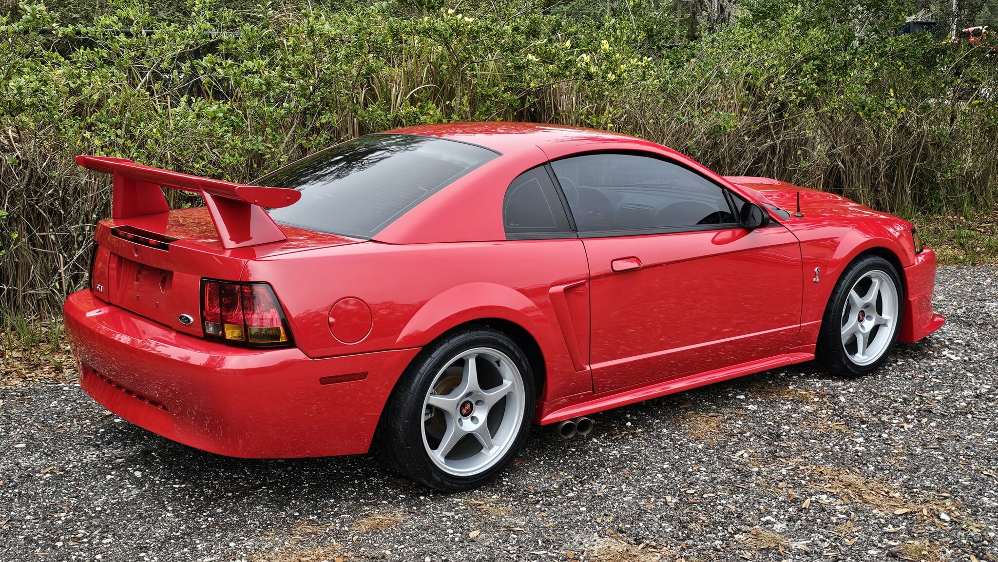 1999 Ford Mustang SVT Cobra - Savin Ol' Steel