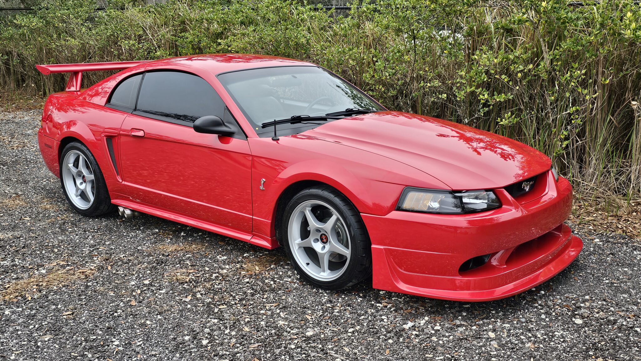 1999 Ford Mustang SVT Cobra - Savin Ol' Steel